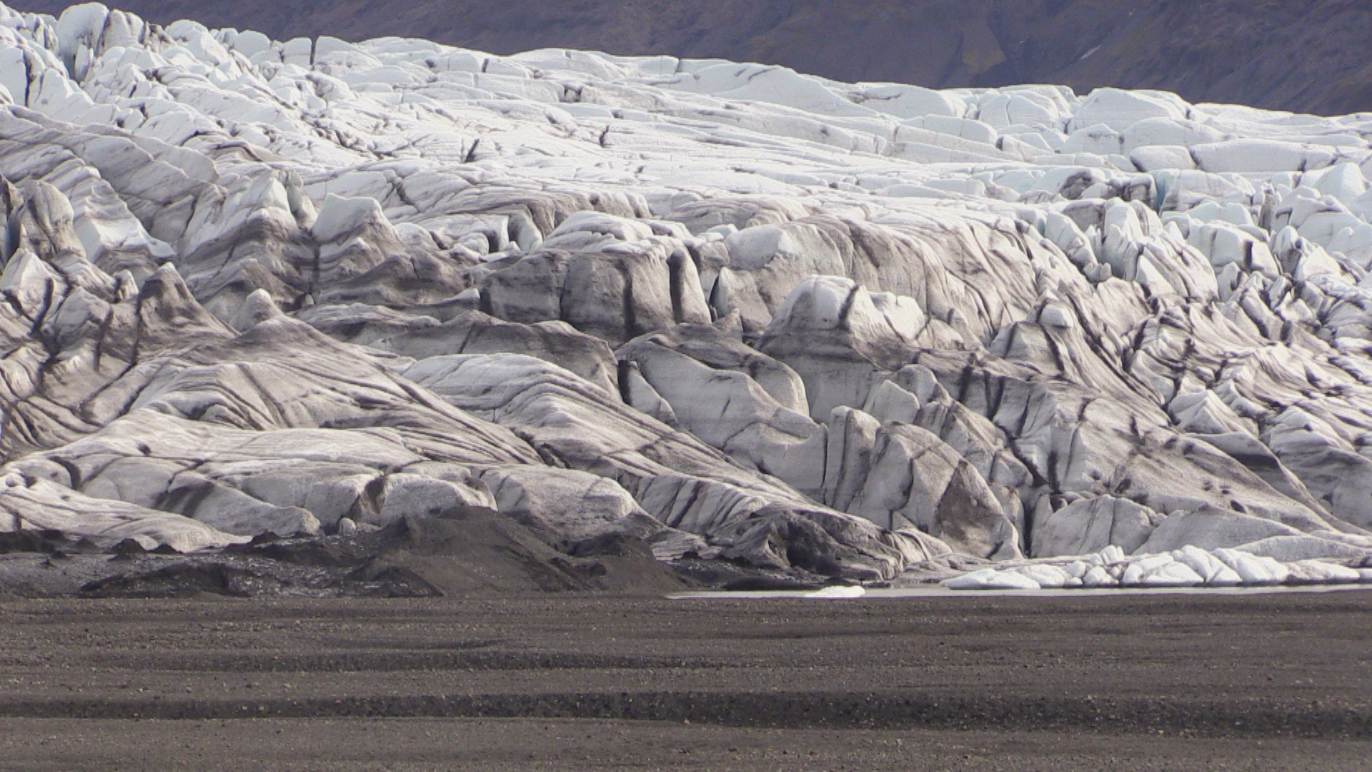 AE Photography | Adaptive Earth